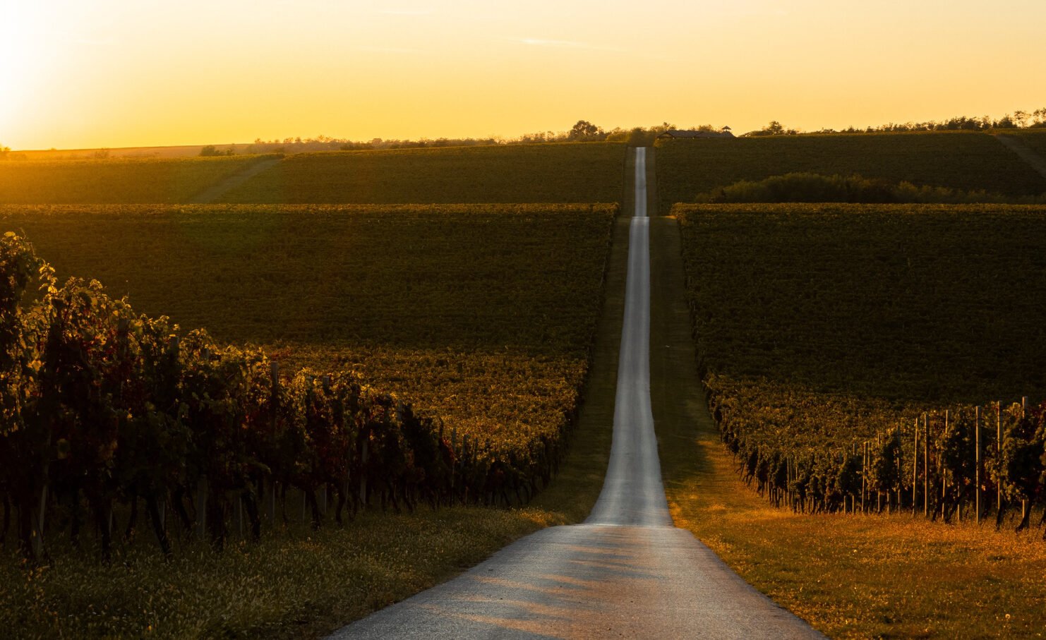 La kinésiologie - Fédération Française des Kinésiologues